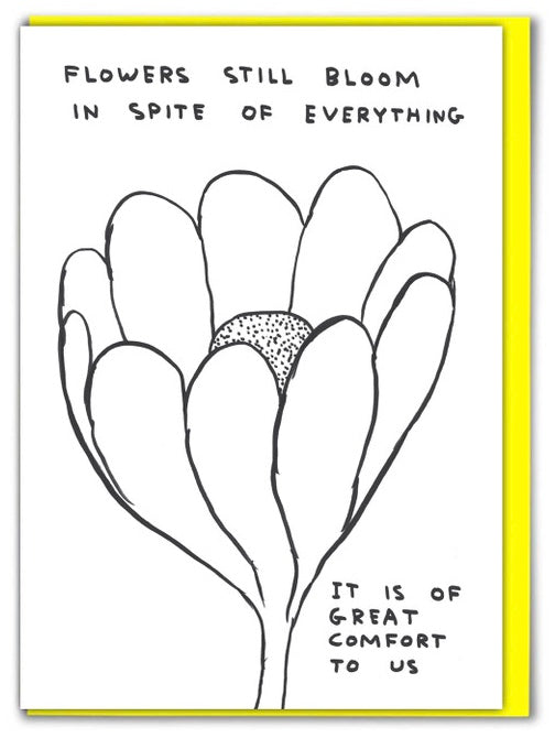 David Shrigley // Flowers Still Bloom — OPEN EDITIONS